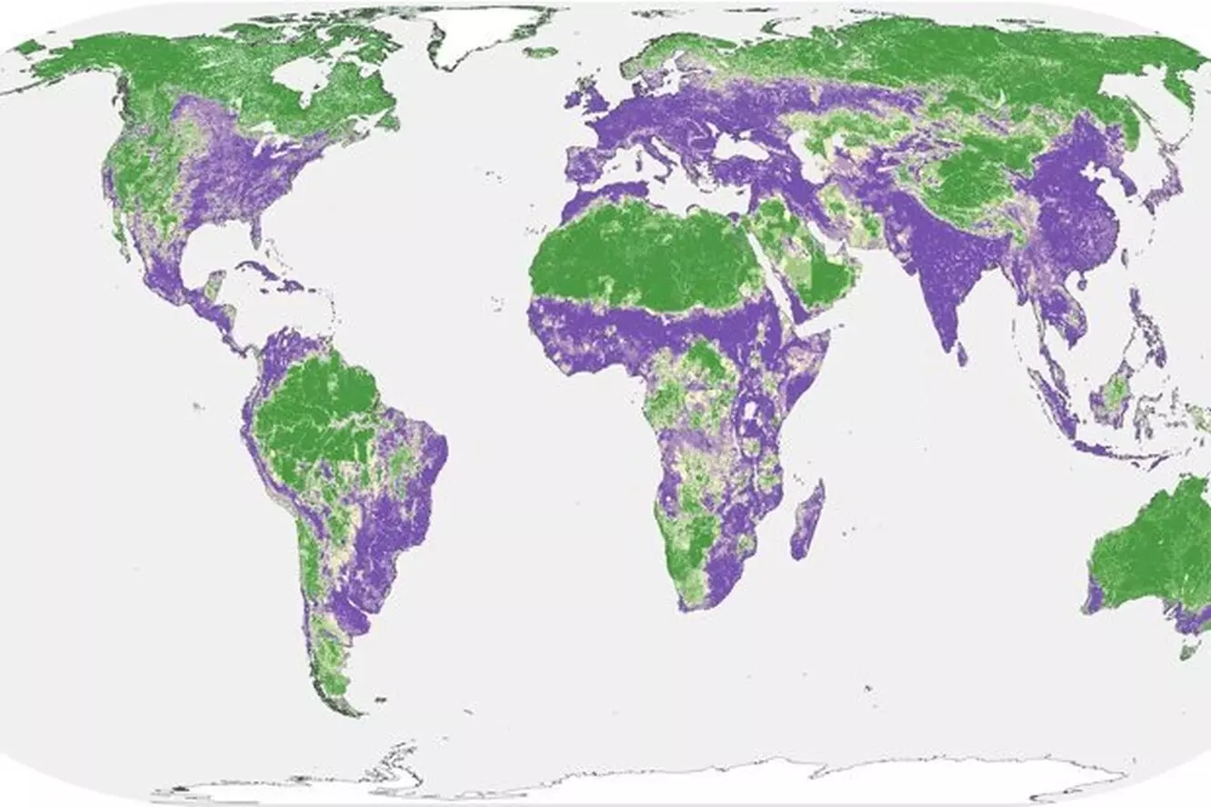 Half of our planet is unaffected by human activity