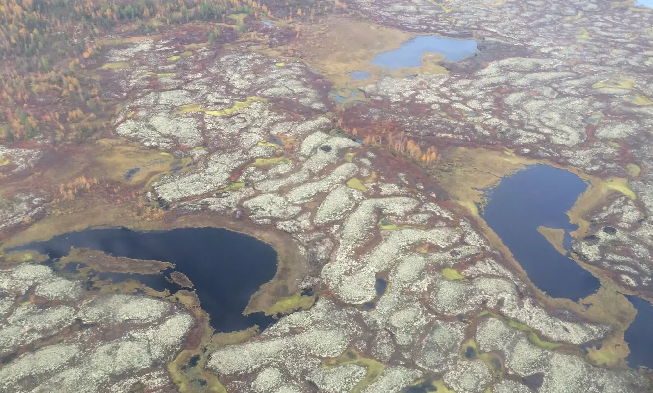 Amachibi eThermokarst kuMntla weYenisei