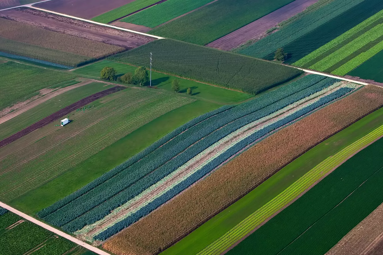 Pflanzen konnten Plastik aufnehmen