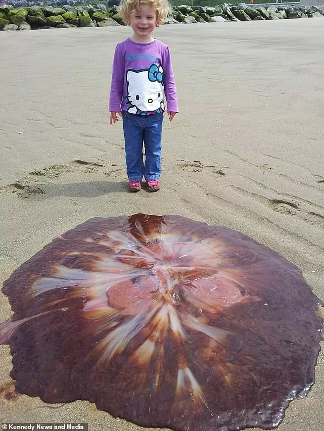 艾麗娜在一隻巨大的水母面前