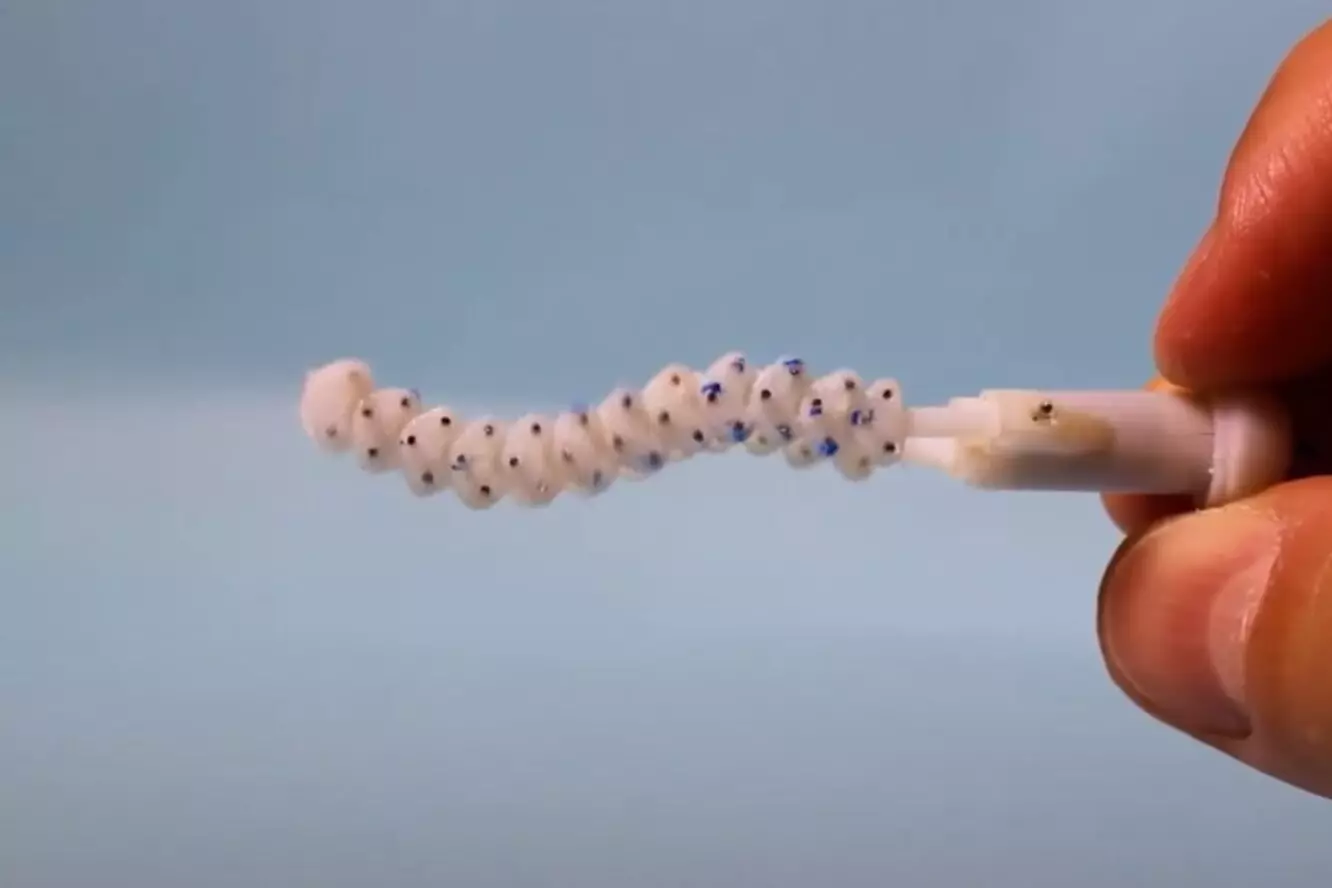 Un pequeno robot aprendeu a arrastrarse polos intestinos: vídeo