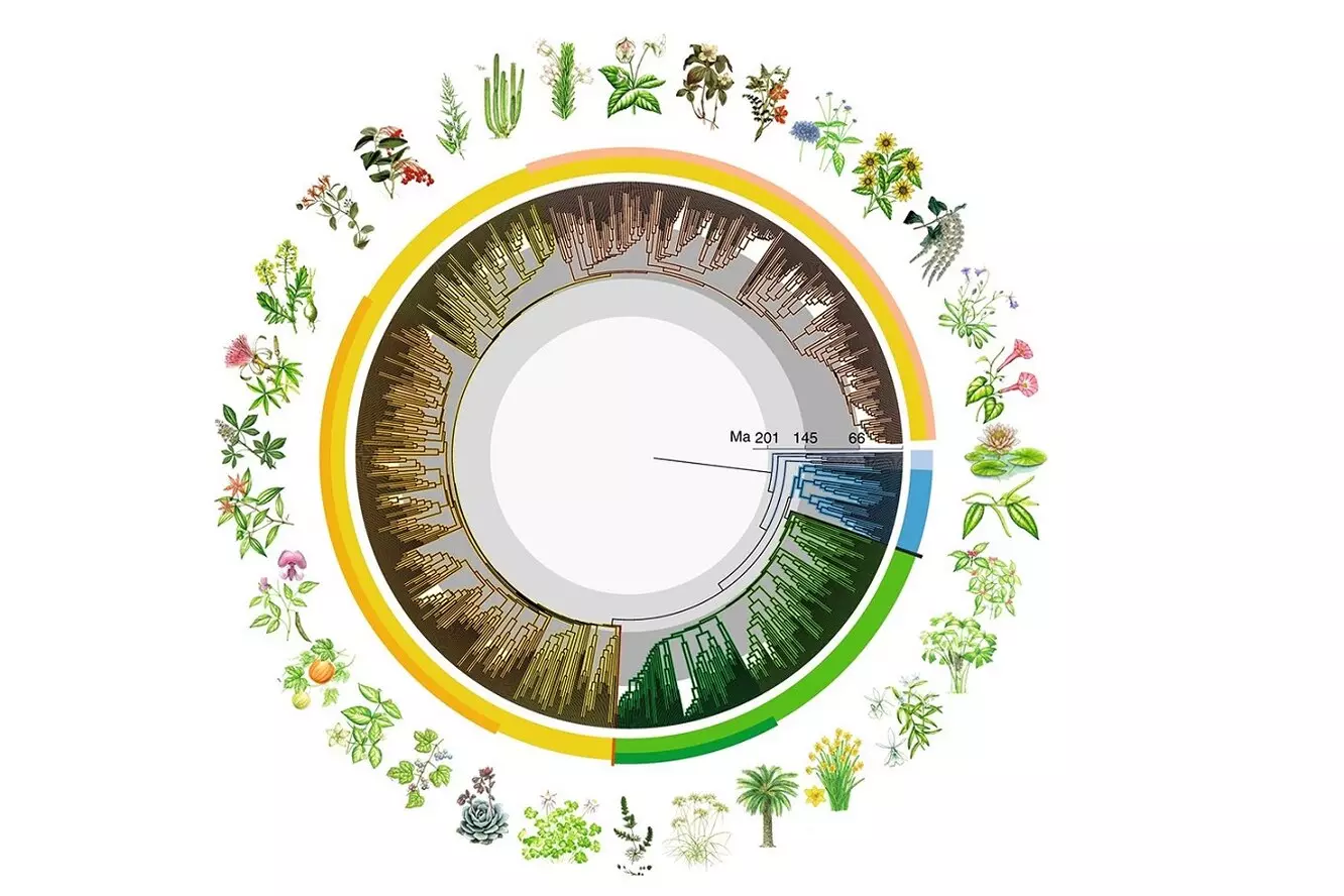 Bilim adamları dünyadaki çiçekli bitkilerin en detaylı haritasını derlediler