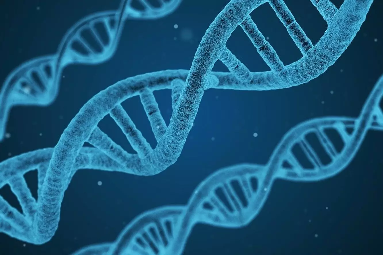 Mokhoa o mocha o tla lumella ho bolokoa hantle ha data ho DNA