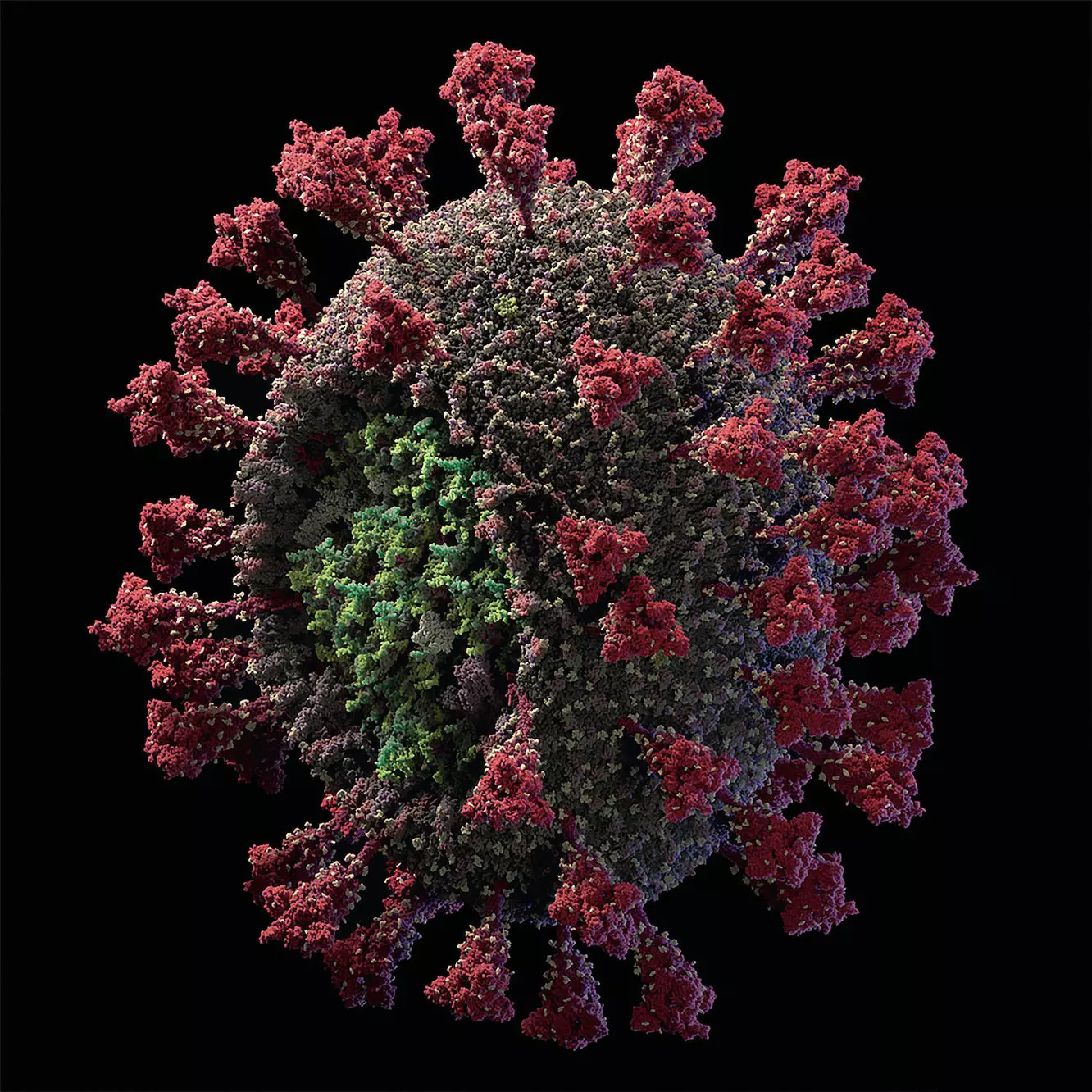 Coronavirus