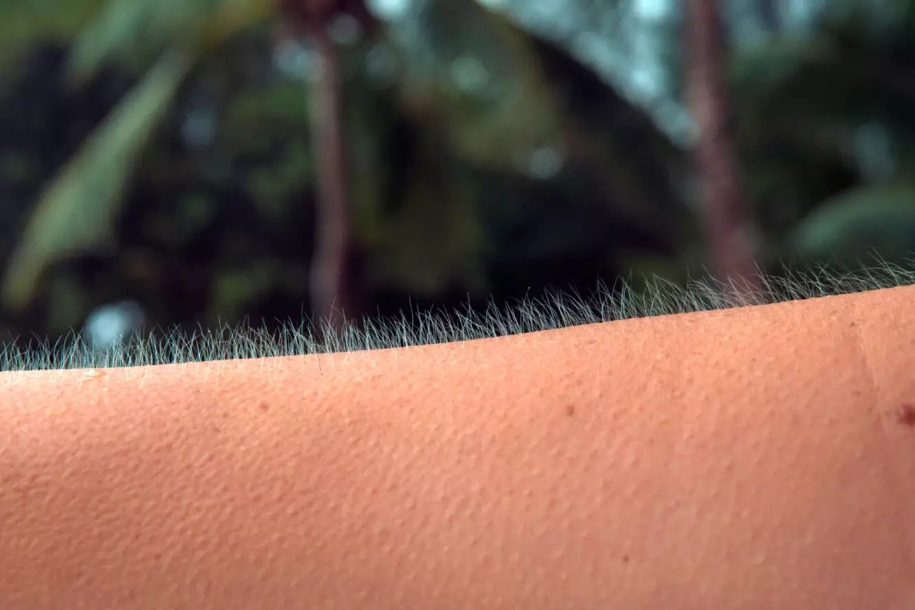 Wetenschappers hebben ontdekt waarom onze huid bedekt is met kippenvel