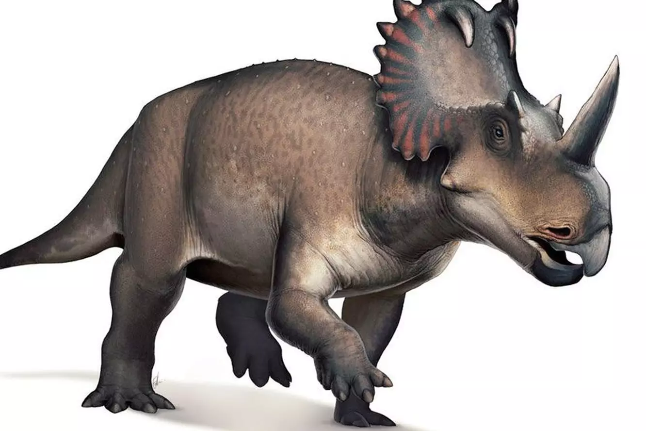 Dinosaur adapeza kuti adalimbana ndi khansa mpaka komaliza