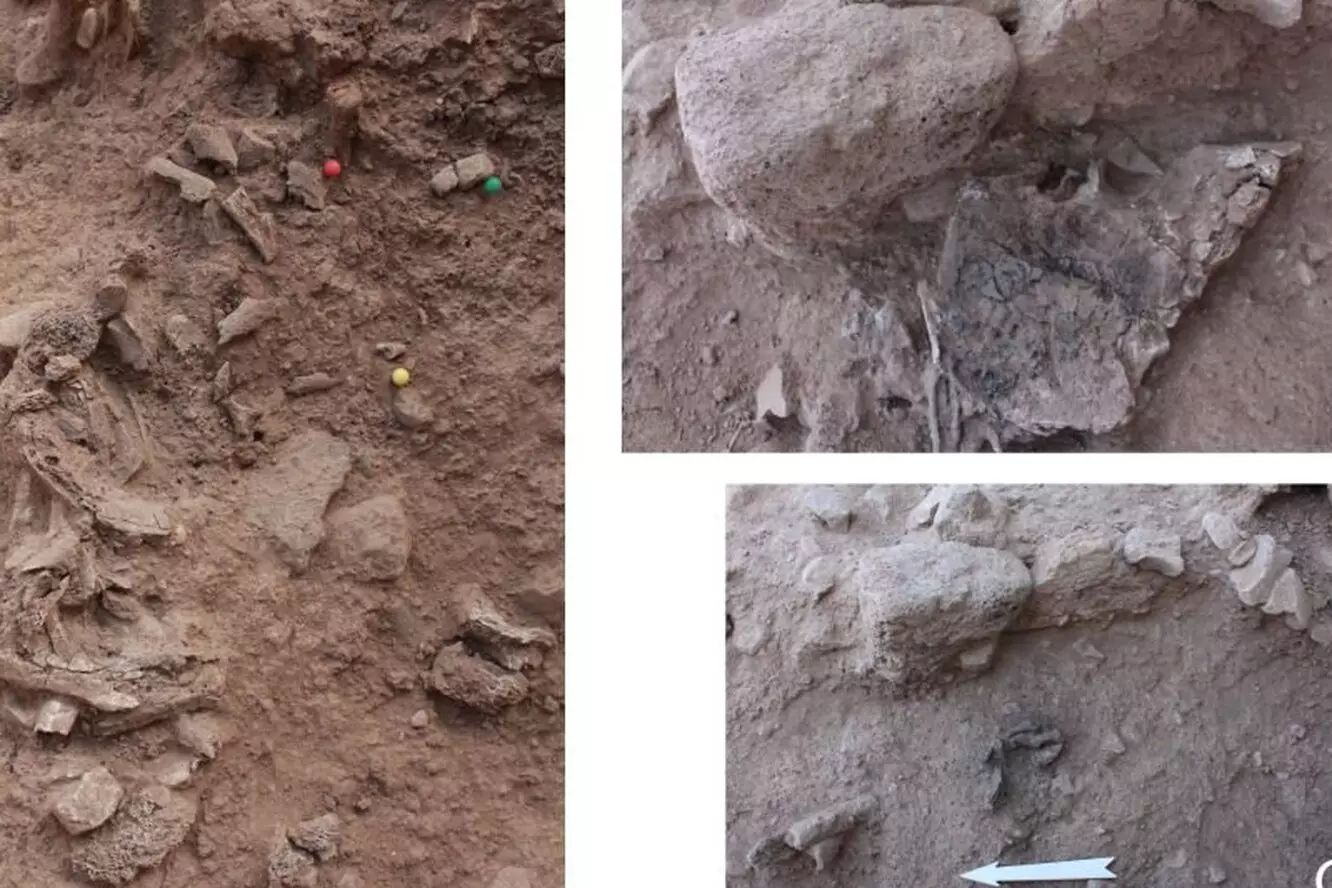 Neolithic crematorium discovered in Israel