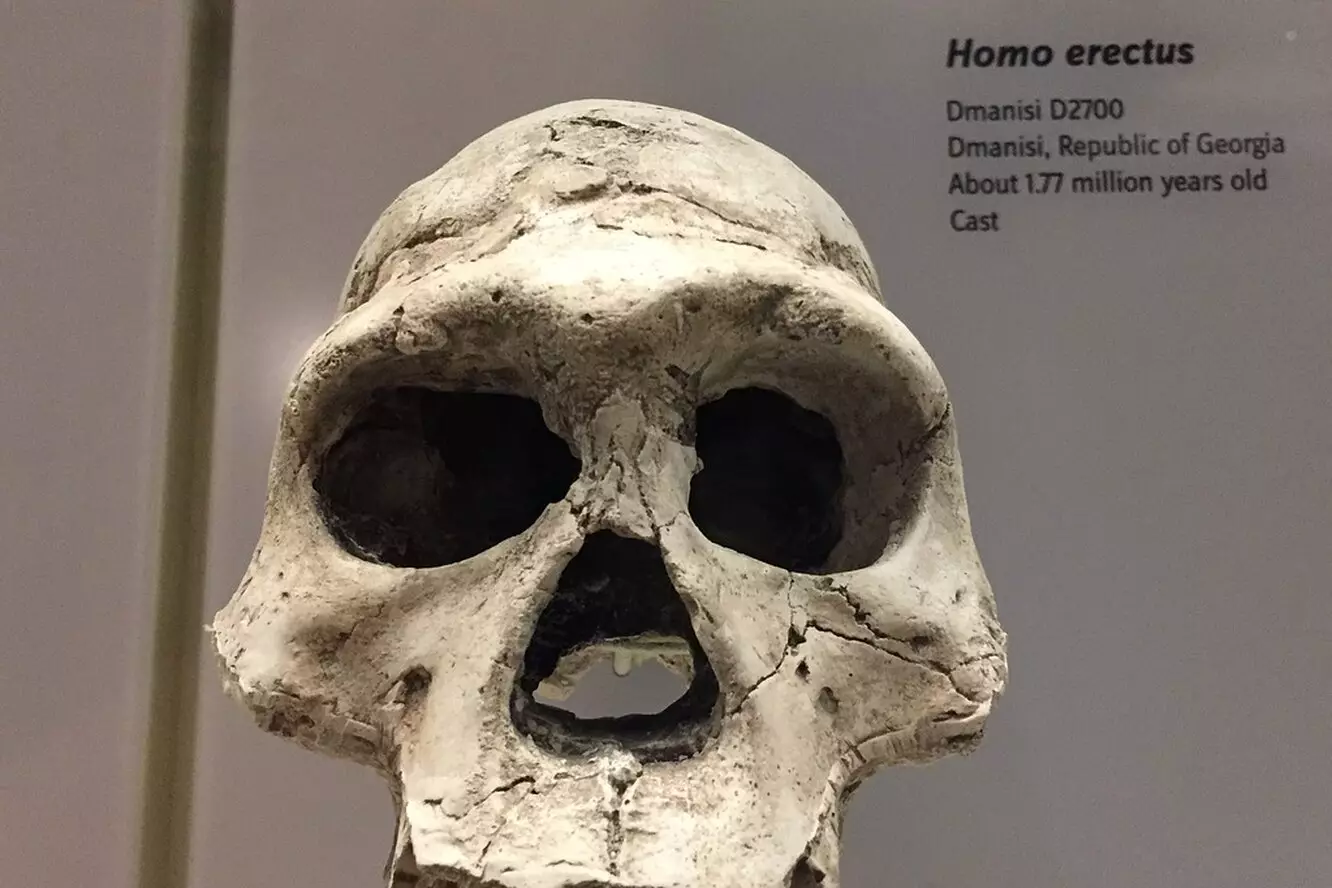 Nakakaplag ug bag-ong kalainan tali sa Homo sapiens ug Homo erectus