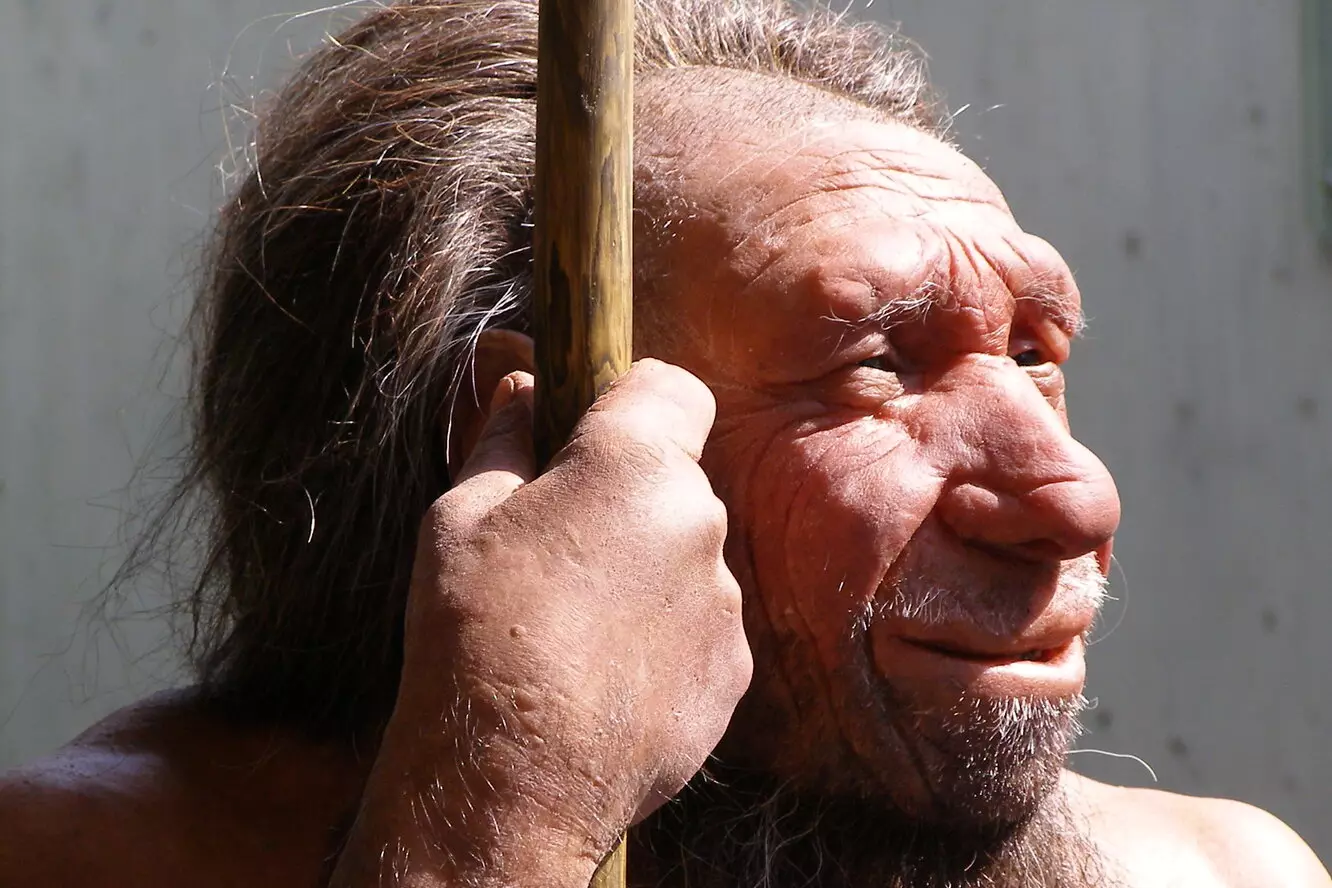 DNA kan migraties van Neanderthalers helpen begrijpen