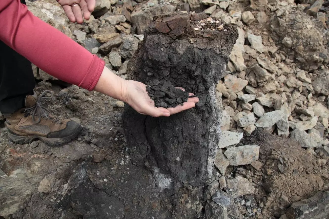 Verbrande overblijfselen van oude organische stoffen in Siberië - sporen van het grote Perm uitsterven