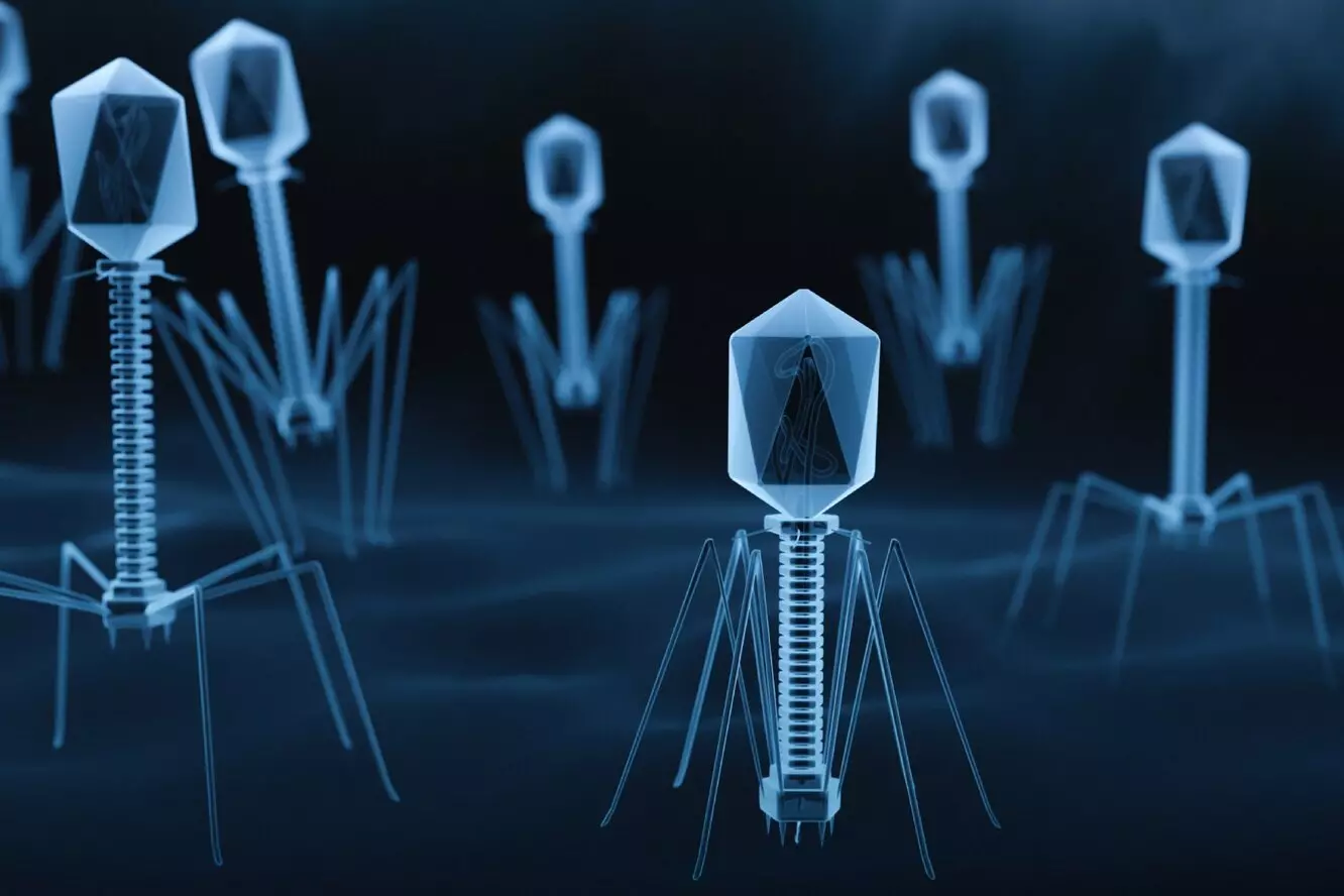 Kæmpebakteriofager har afsløret hemmelighederne bag udviklingen af livet på Jorden