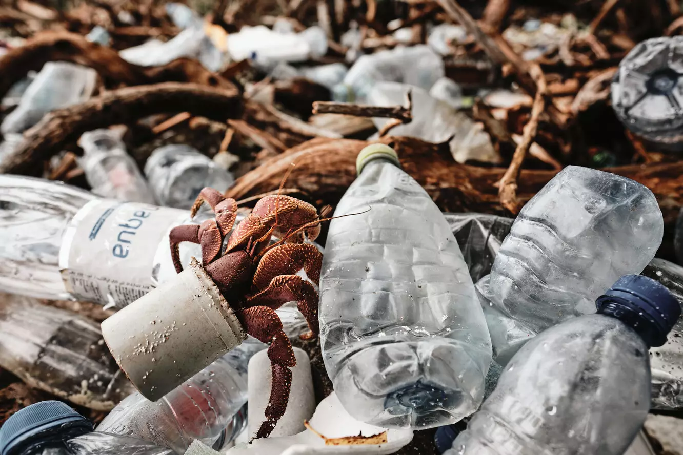 Ookeani kaitse: Maldiividel roomab erakkrabi plastkoores läbi prügihunniku