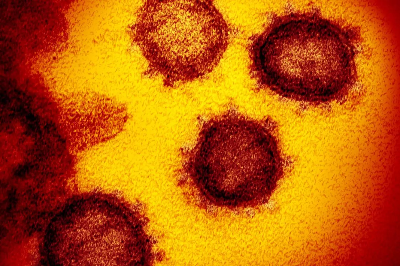 Hoe oud is het coronavirus eigenlijk?