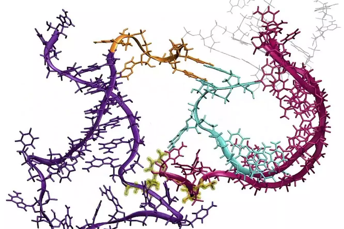 Wéi RNA danzt: en erstaunleche Mechanismus fir Selbstreguléierung vu Molekülen