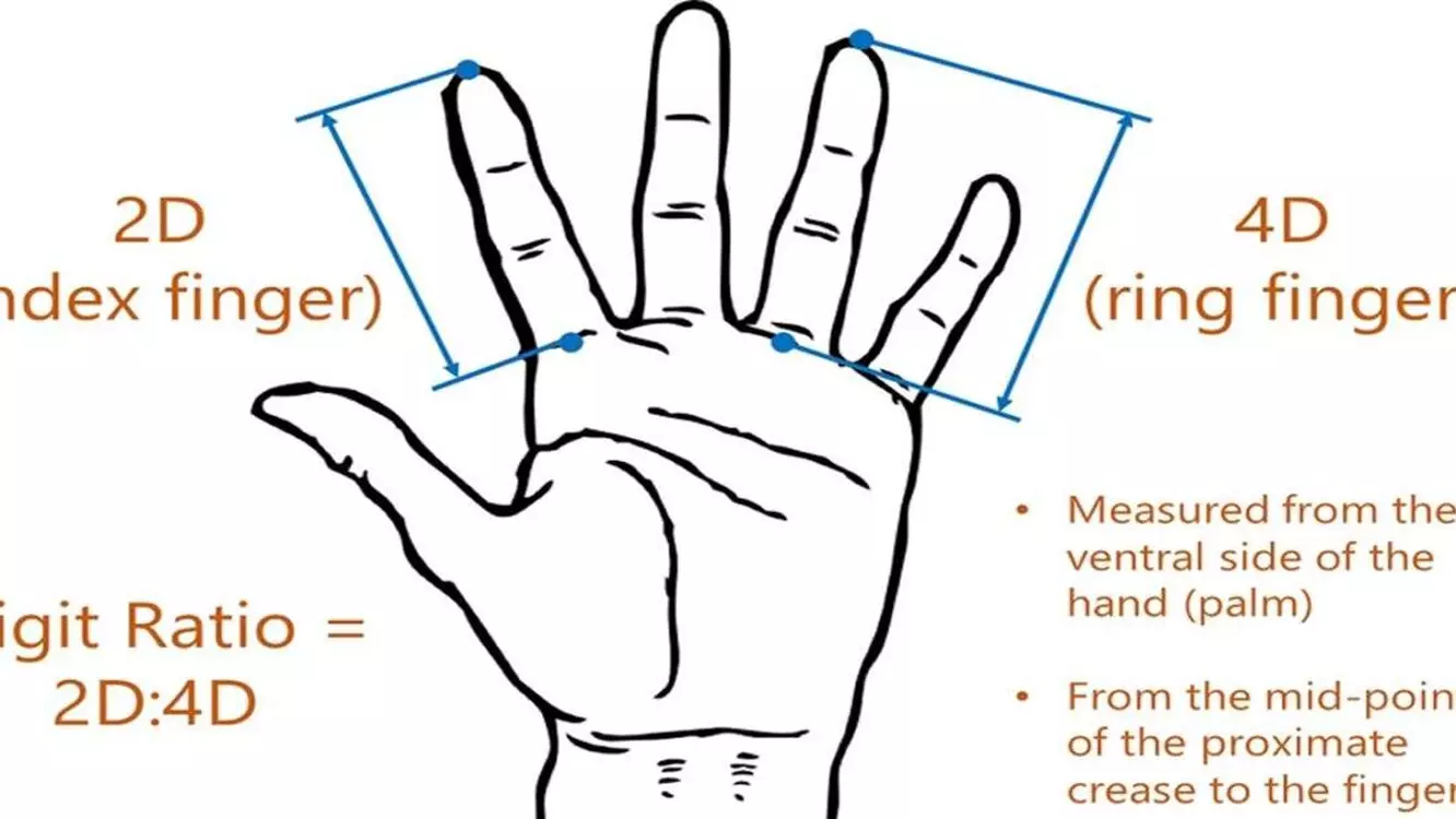 2D प्रमाण: 4D