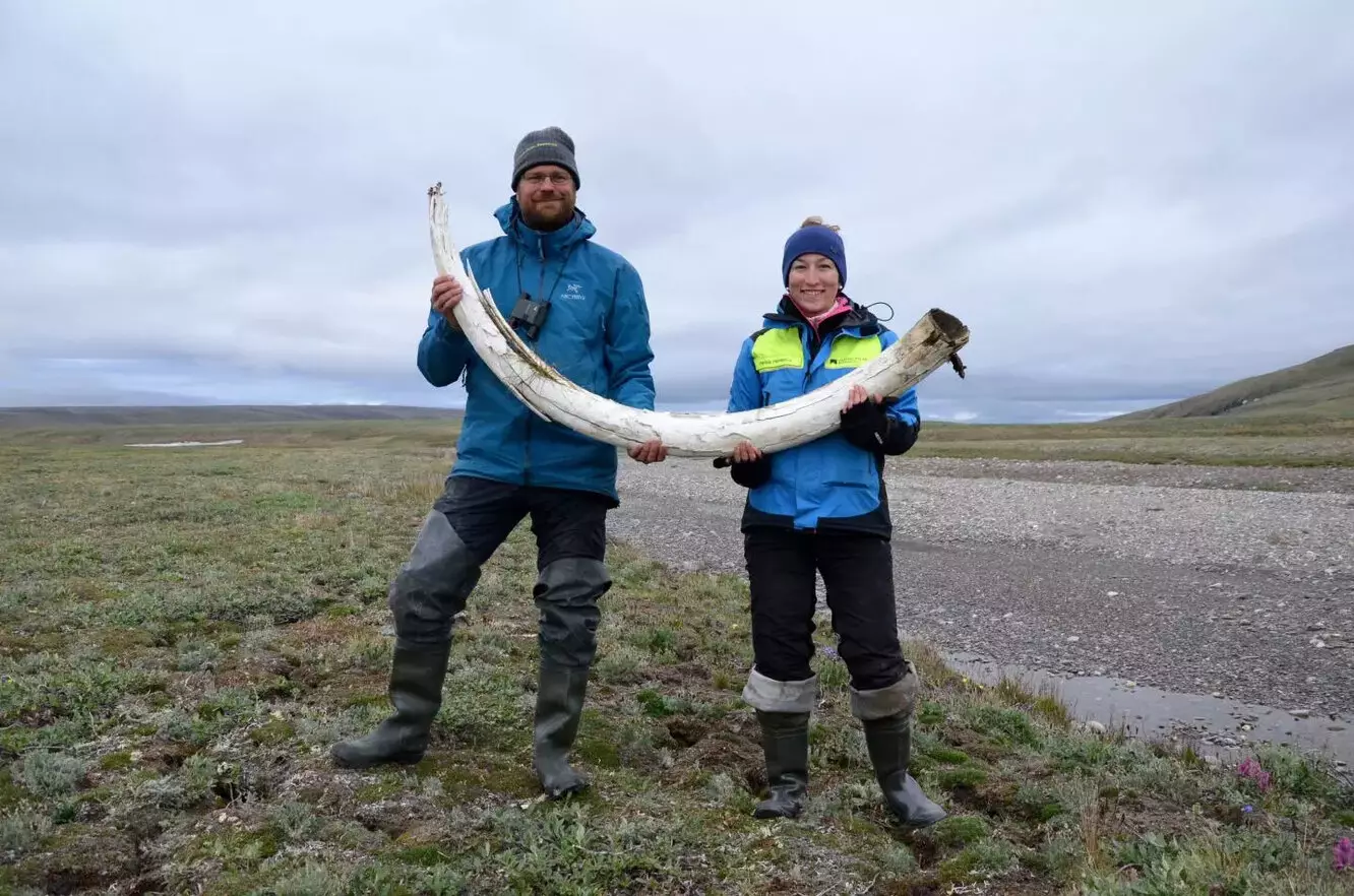 Zientzialariek mamut adar batekin posatzen dute