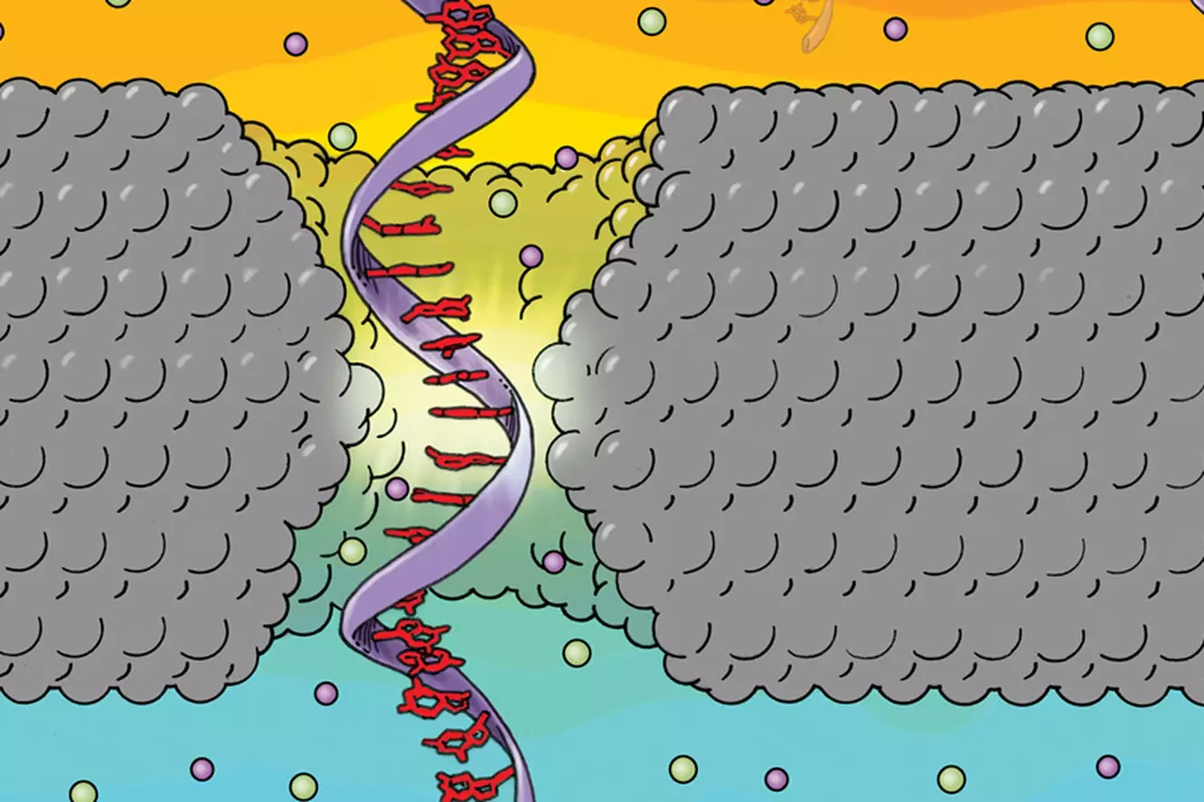 Izazi zezinto eziphilayo zithole indlela yokusheshisa ukulandelana kwe-glycosaminoglycans