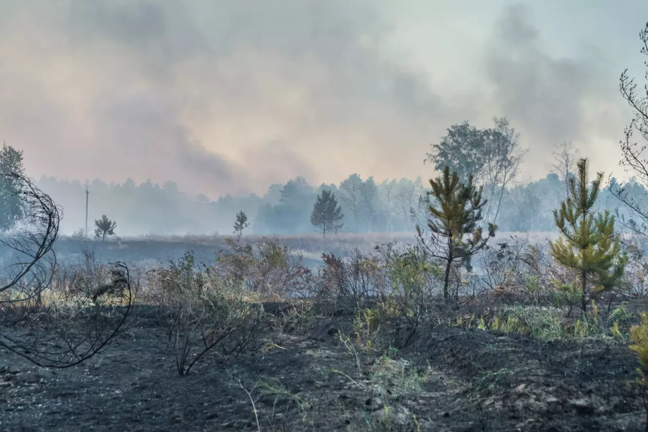 La nueva composición puede extinguir incendios subterráneos - 