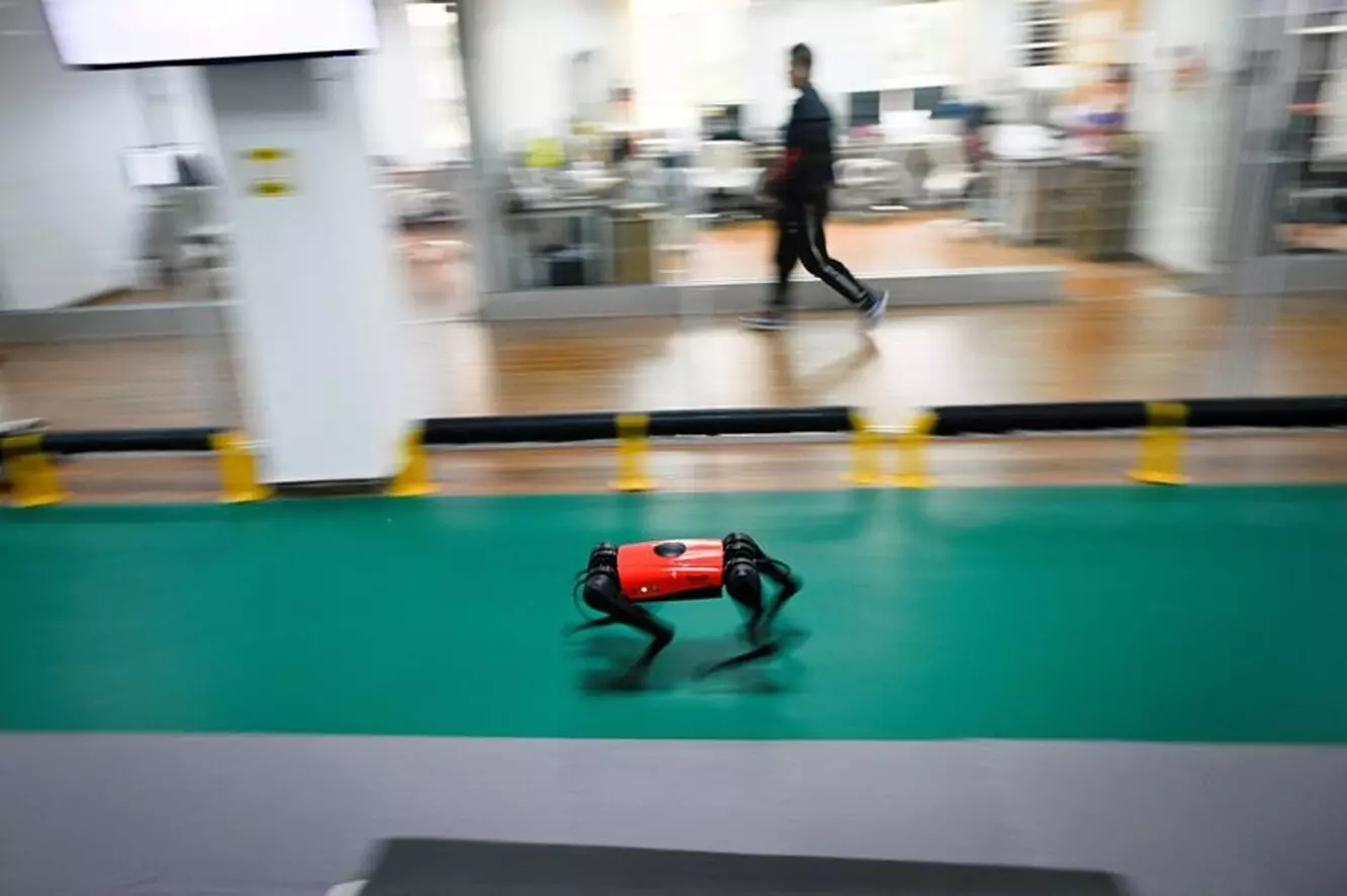 Işleýän wagtyňyz robot