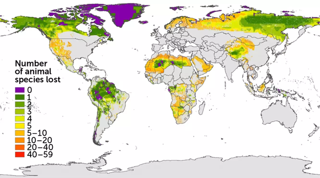 Extinció d'espècies en diferents regions