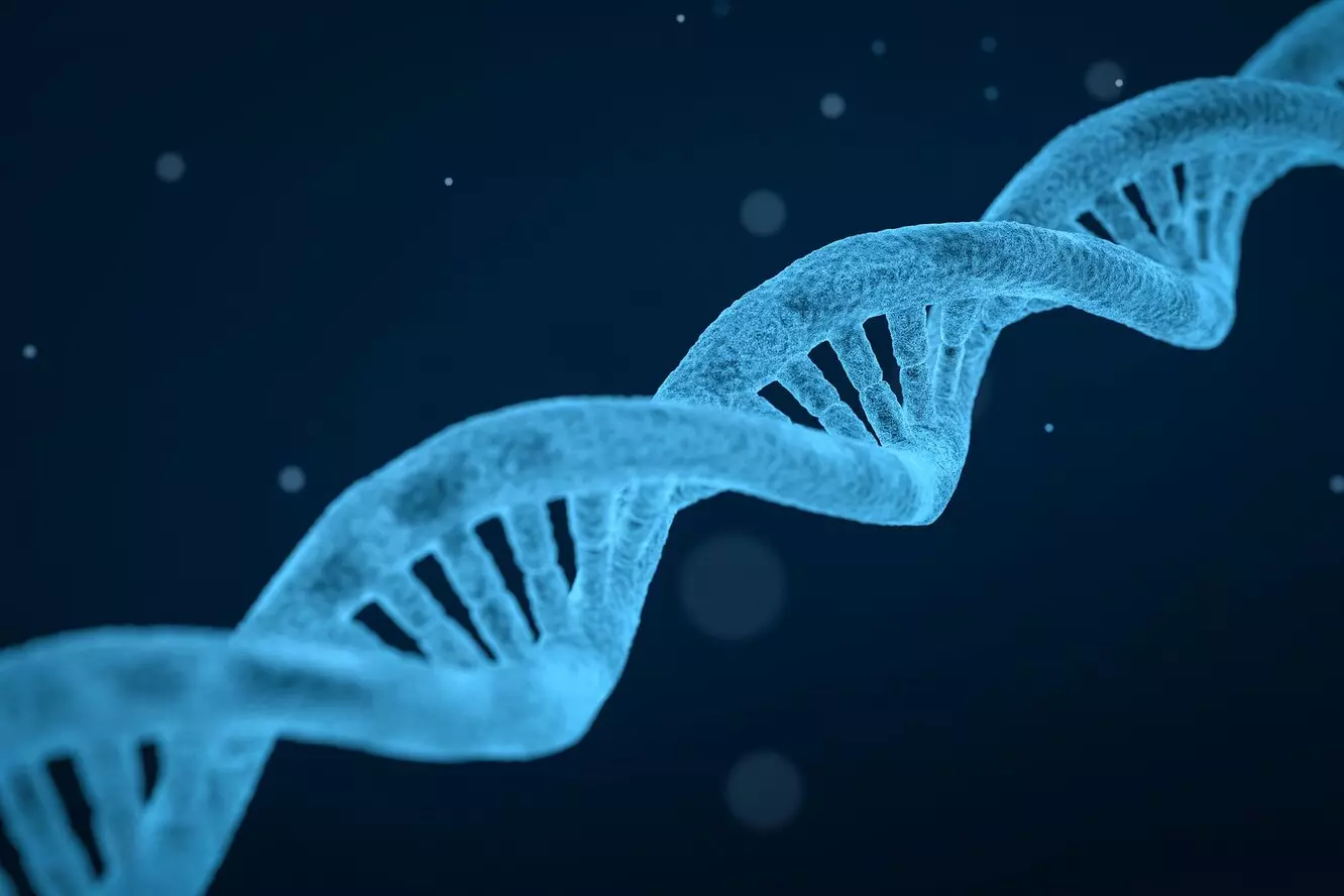 Os científicos fan que o ADN humano pareza o ADN dun mosquito eliminando unha proteína