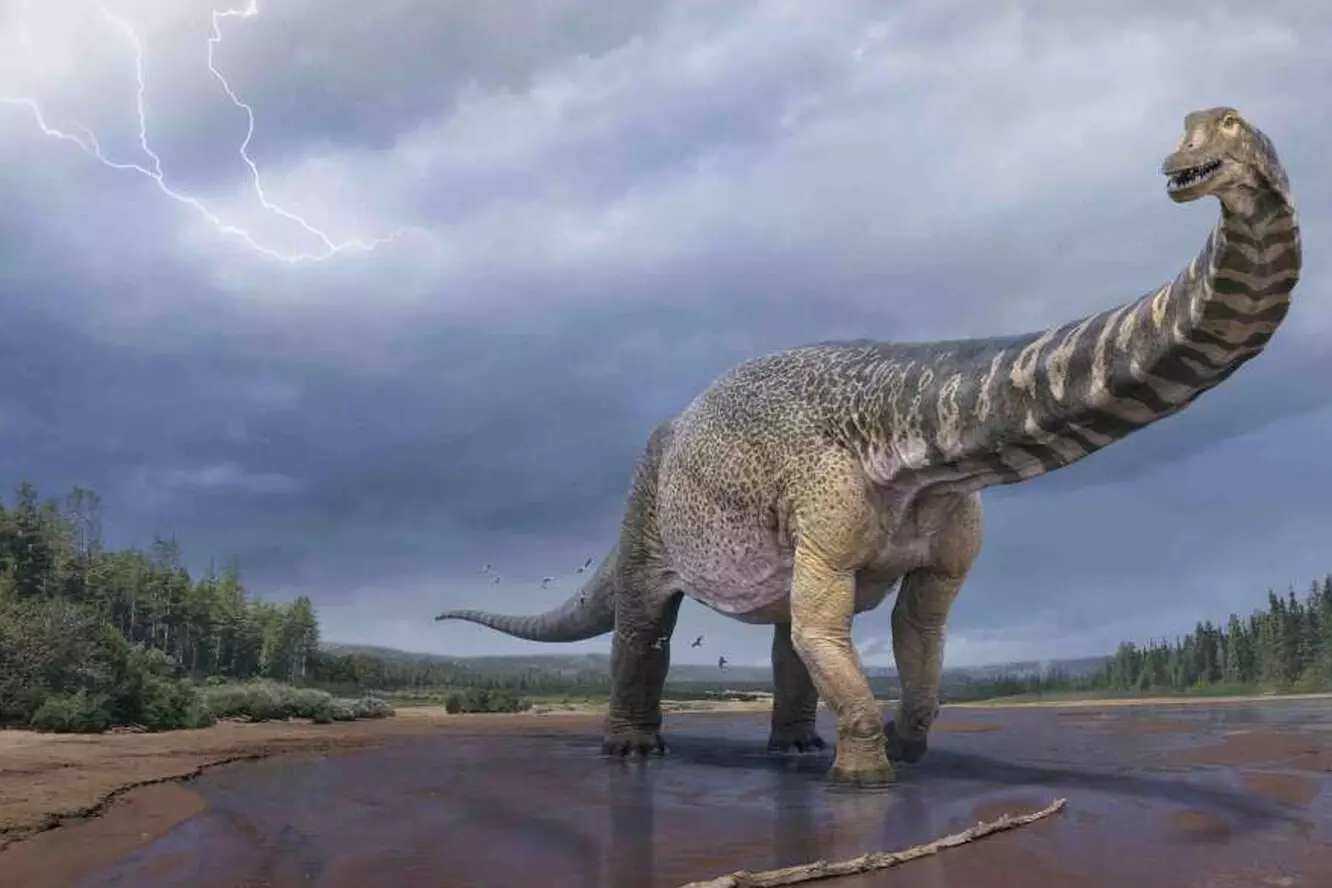 Shkencëtarët kanë klasifikuar një specie të re dinosaurësh, e cila ishte një nga më të mëdhenjtë në botë