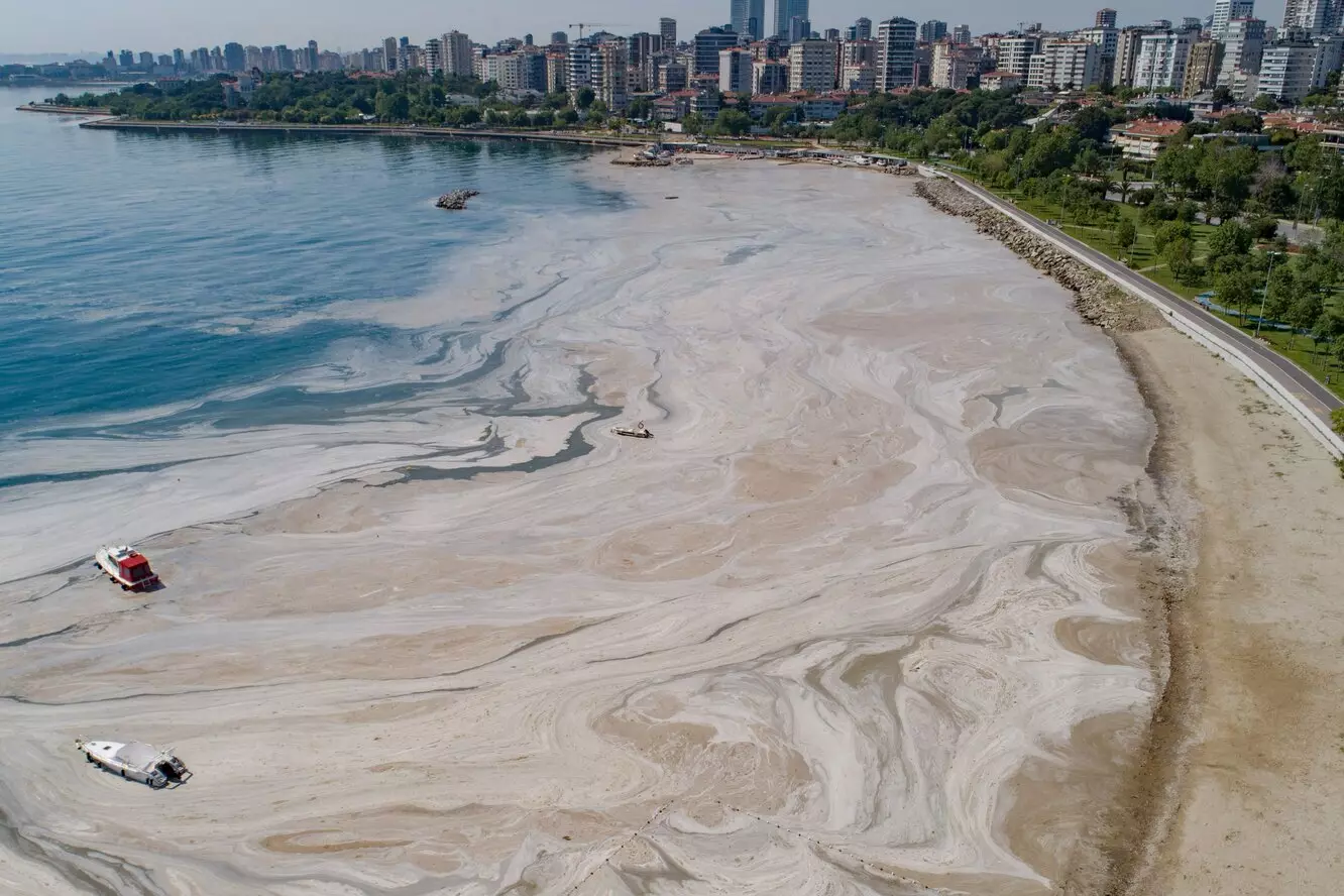 Pantai Turki dilitupi lendir