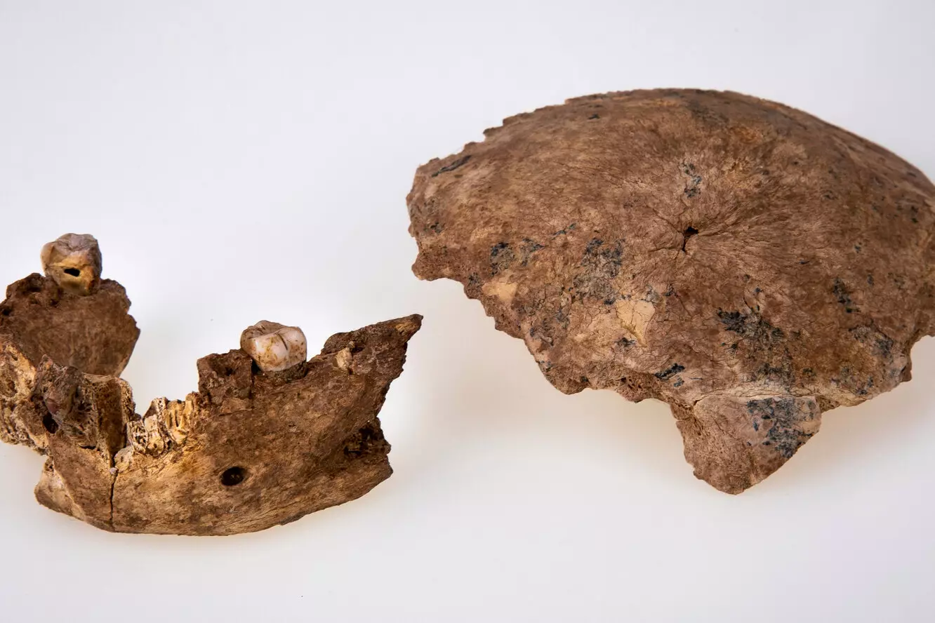 Ang mga fossilized na buto na natagpuan sa Israel ay maaaring kabilang sa isang misteryosong uri ng mga patay na tao