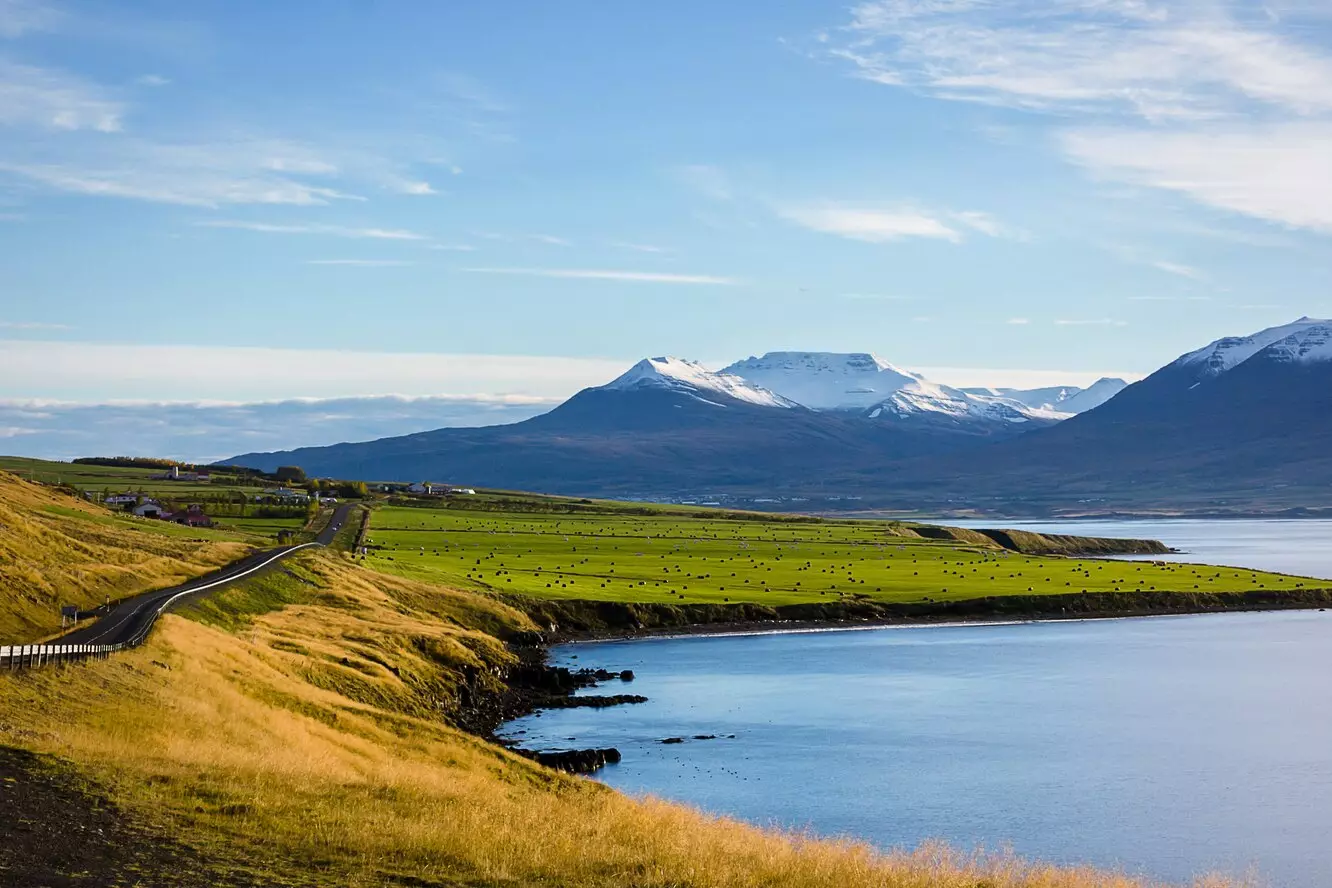 Geologists tau hais tias Iceland tej zaum yuav yog ib feem ntawm lub teb chaws sunken