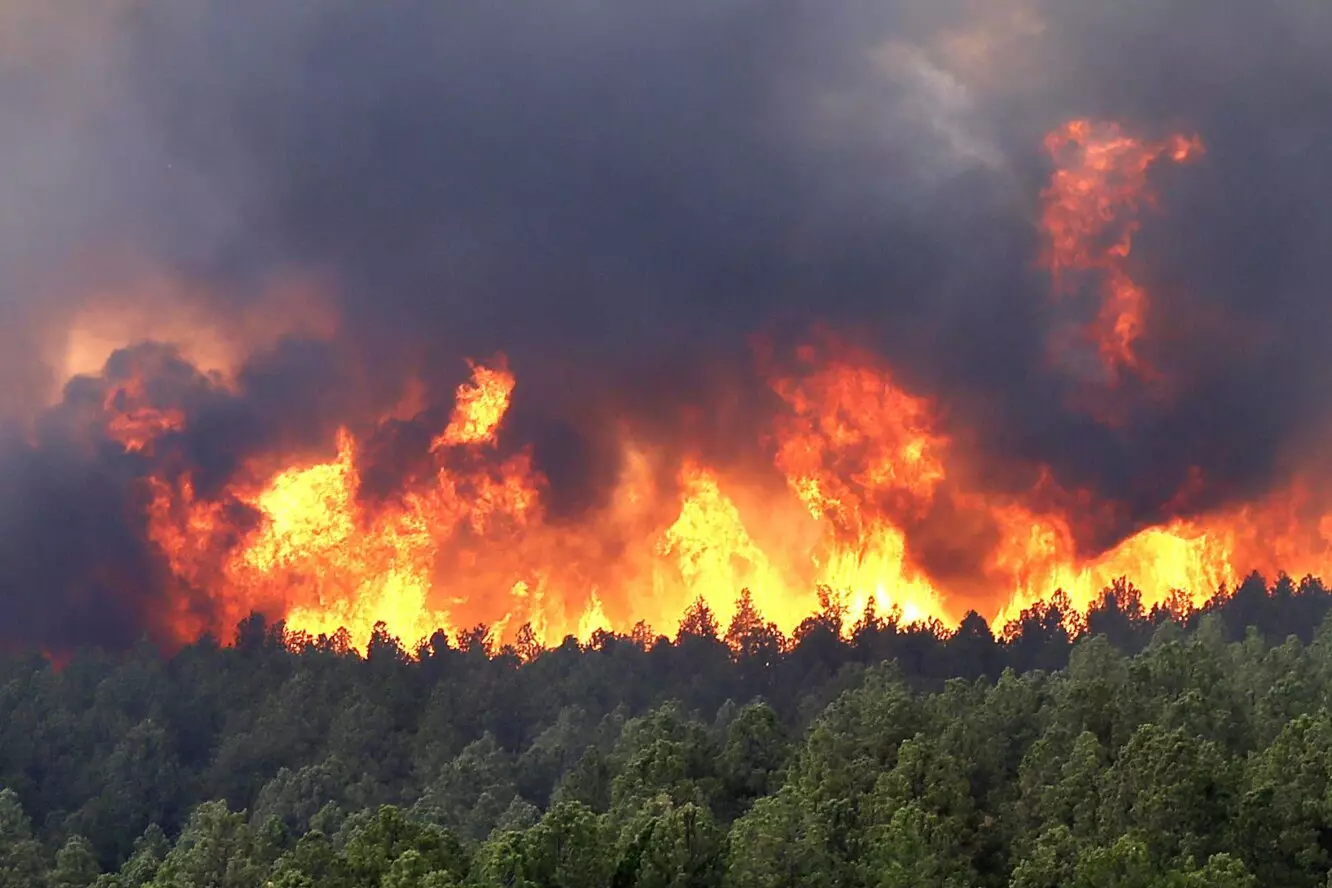 Il fumo degli incendi aumenta il rischio di infezione da COVID-19