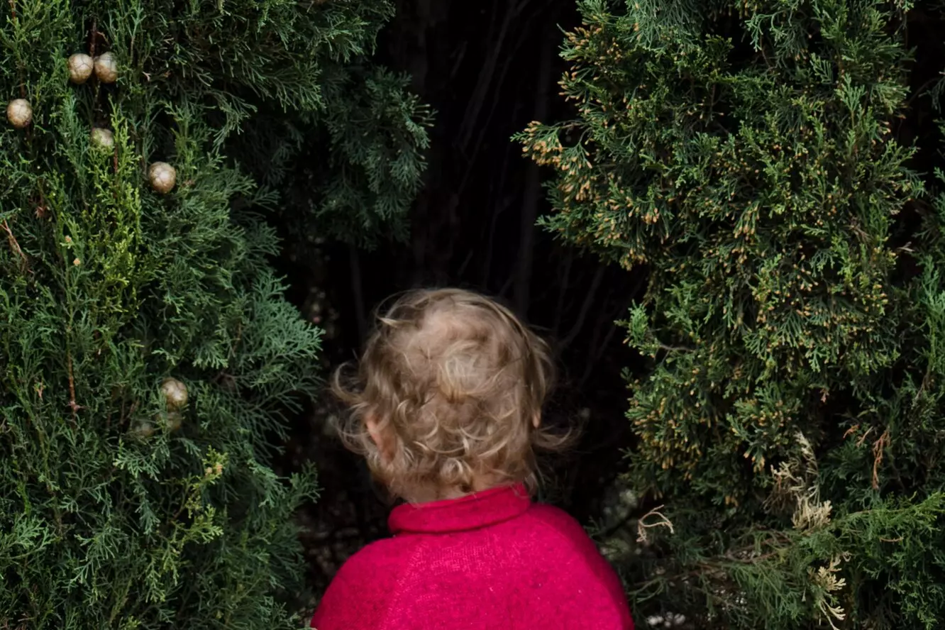 Study finds trees help children's brains develop