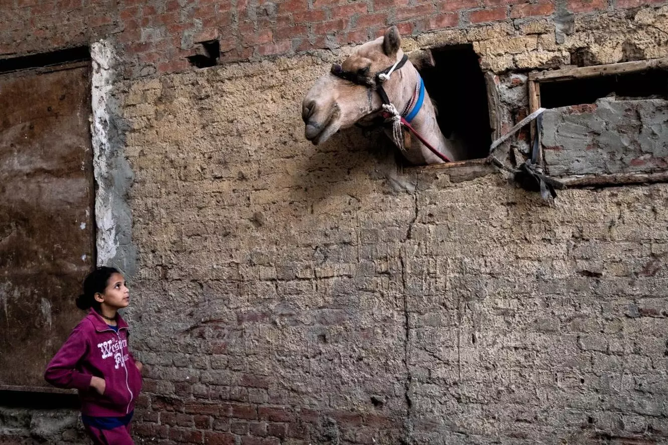 Se verdens byer gennem Urban Photo Awards-finalisternes øjne 386995_14