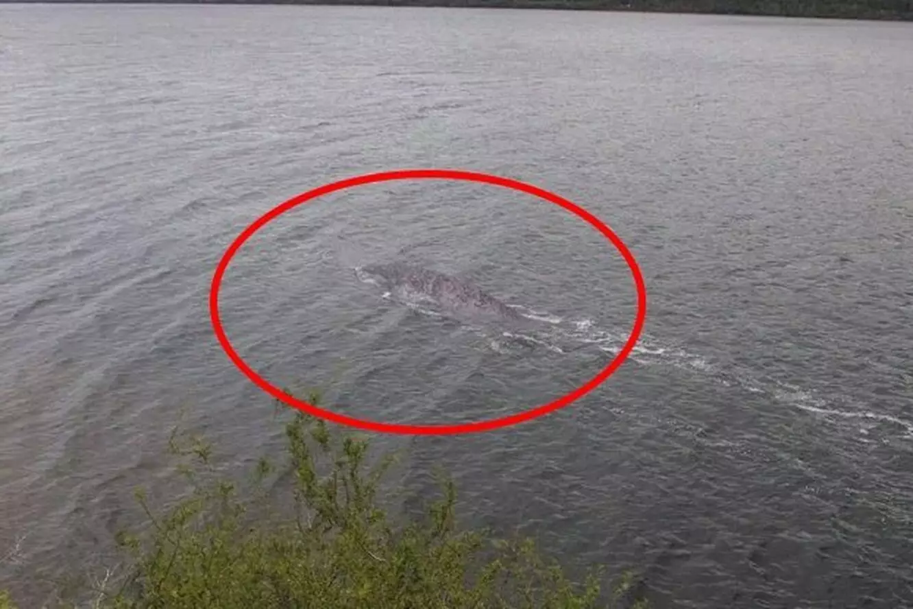 Foto vum Loch Ness Monster: wat Fotografen tatsächlech gefaangen hunn