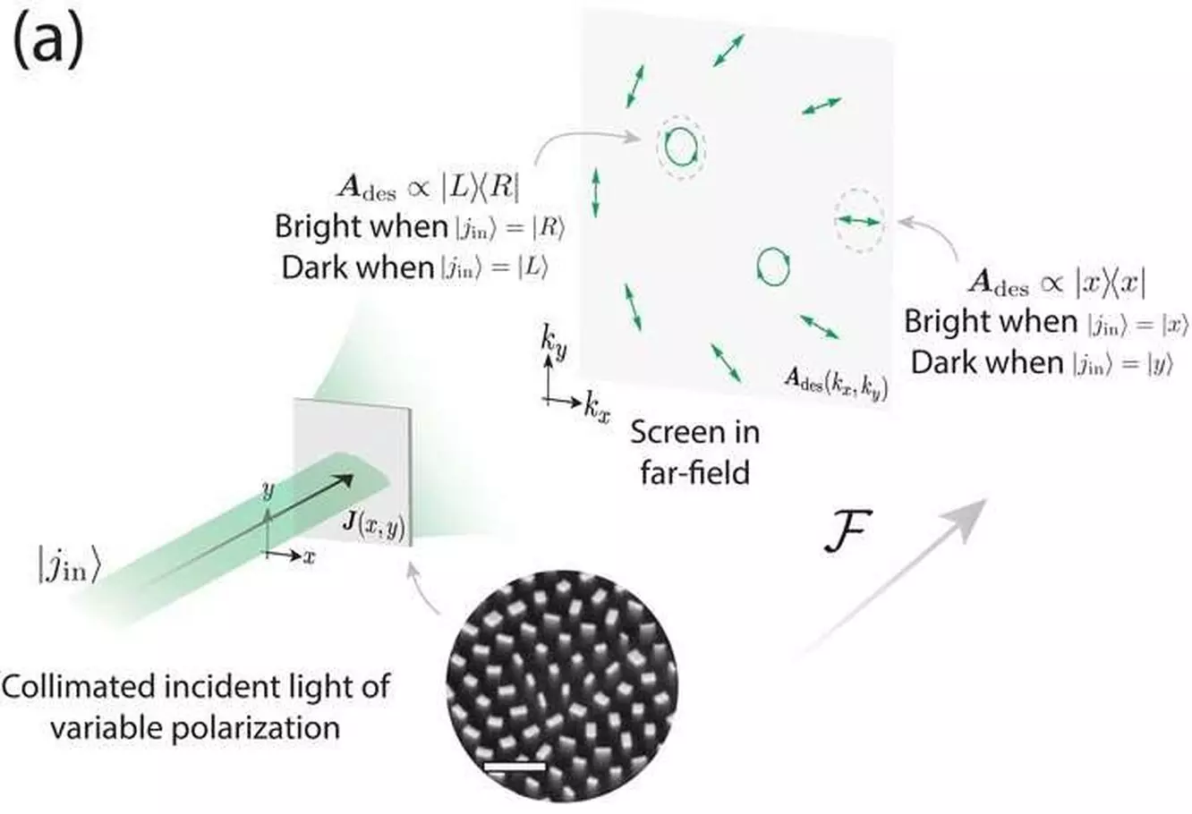 I-Metasurfaces yolawulo oluchanekileyo lokukhanya kwepolarized 387467_2