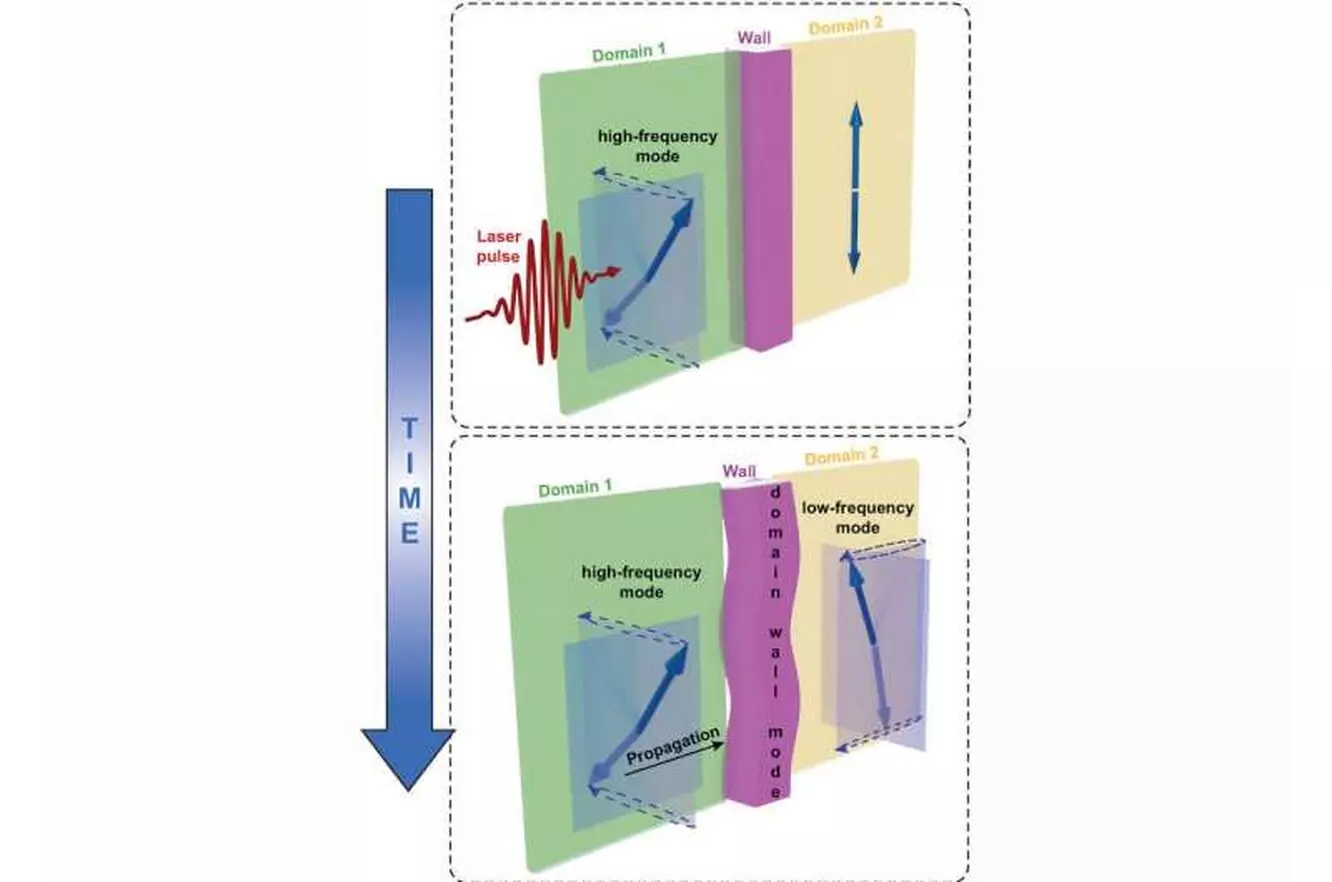 Illustration af strukturen af en antiferromagnet