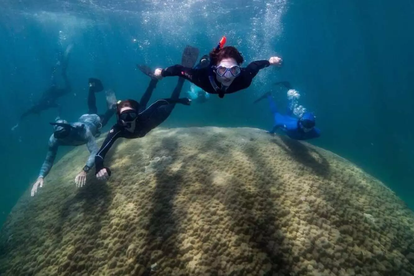 Karang panglegana di Great Barrier Reef geus kapanggih di Australia. Anjeunna langkung ti 400 taun