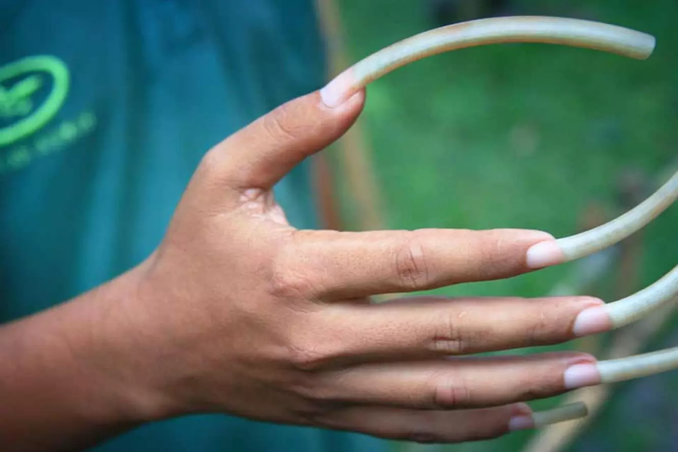 ¿Crecen el cabello y las uñas después de la muerte?