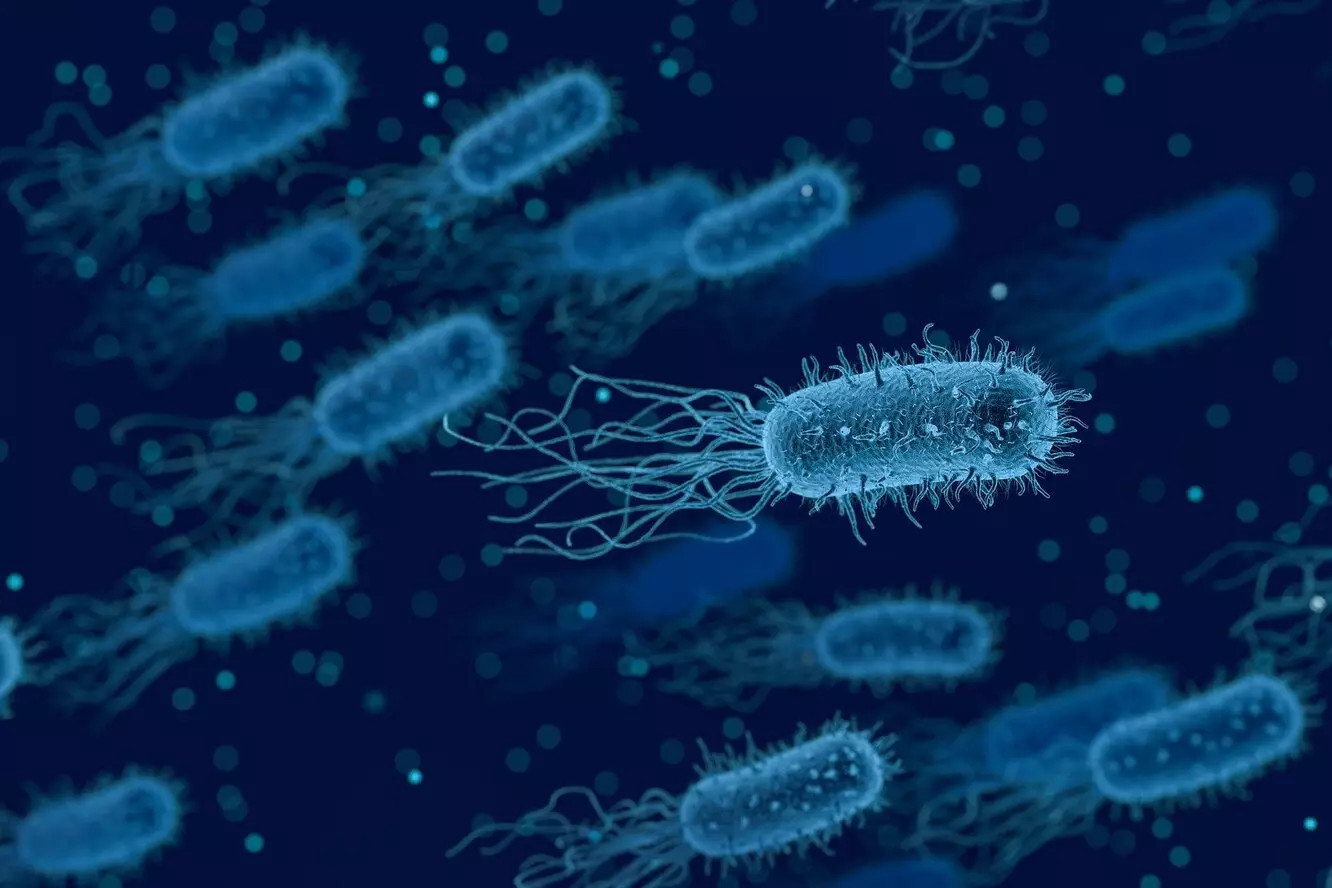 Бактери идэштэн болж байна уу?