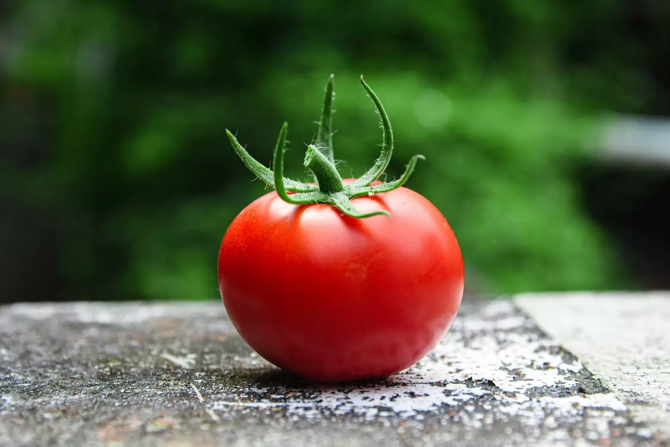 Le Japon commence à vendre des tomates OGM pour réduire la tension artérielle