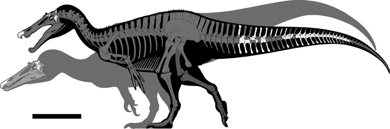 Fosil de dinozò deja enkoni yo te jwenn nan Angletè 389332_2