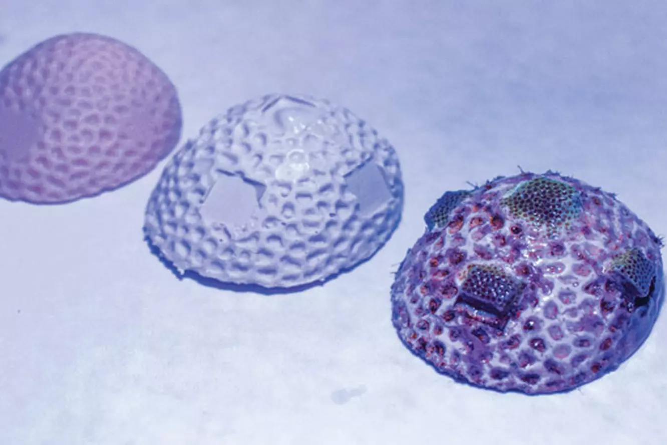 Scientists restored corals using a 3D printer