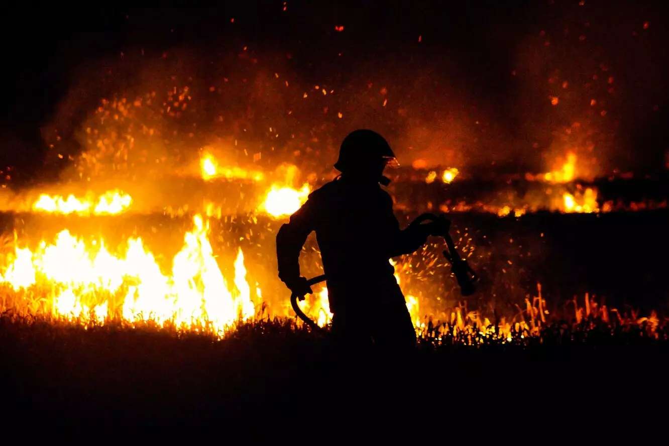 Els experts han après per què els incendis s'han tornat més freqüents durant els últims 10 anys