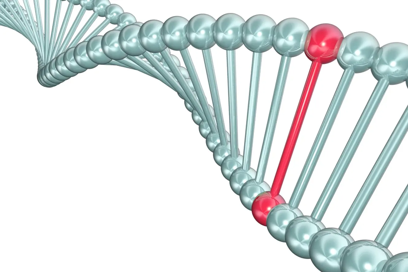DNA ဗီဇပြောင်းလဲမှုများသည် မတော်တဆမဟုတ်ပါ၊ လူသားအားလုံးအတွက် အဘယ်ကြောင့်အရေးကြီးကြောင်း ကျွန်ုပ်တို့ပြောပြပါသည်။