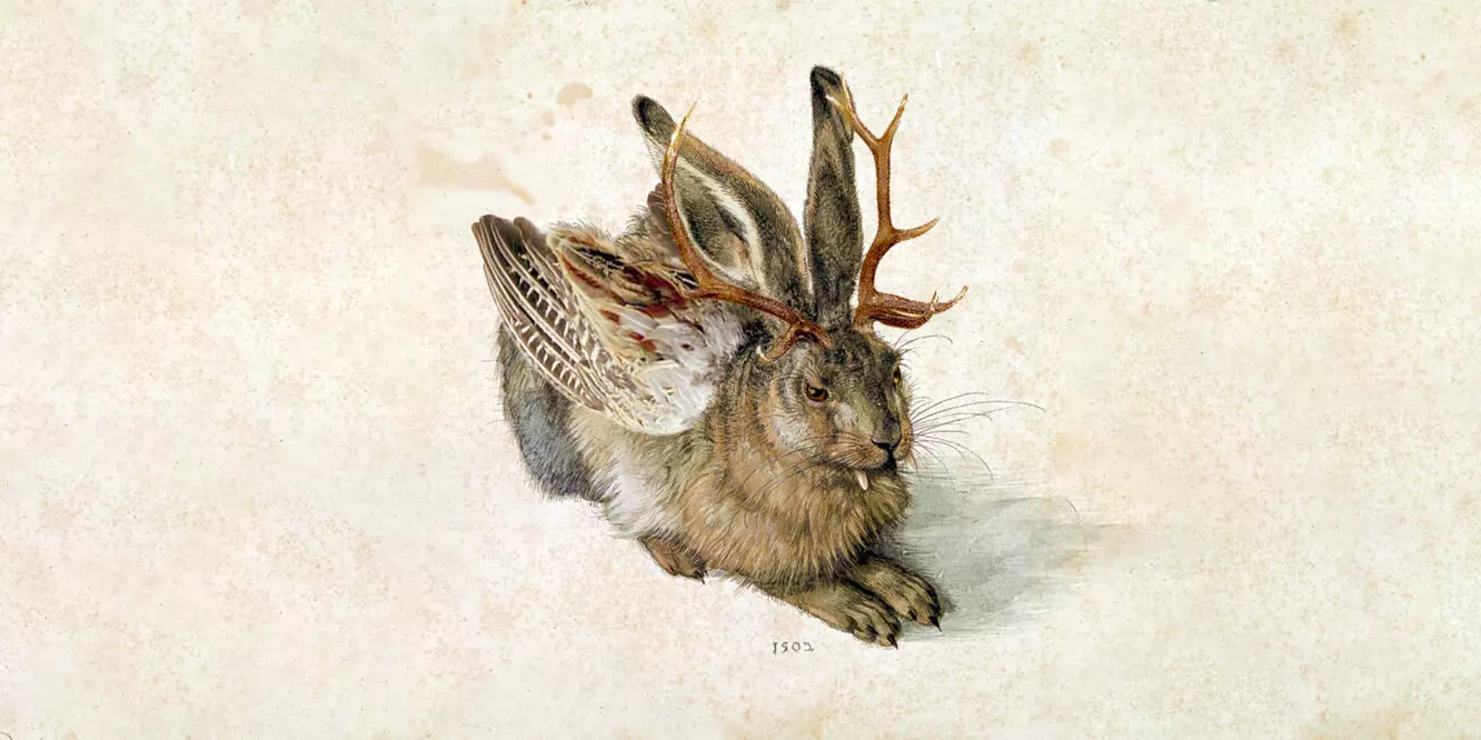 In German culture, horned hares are called wolpertingers. It is believed that for the first time these mythical creatures from real life were mentioned in the fairy tales of the Brothers Grimm in 1753.