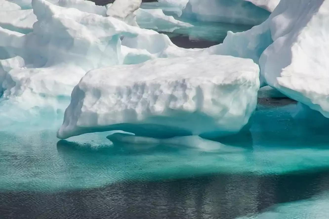 Antarktidada we Arktikada temperaturanyň bir wagtyň özünde ýokarlanmagy. Ylmy täzelikler