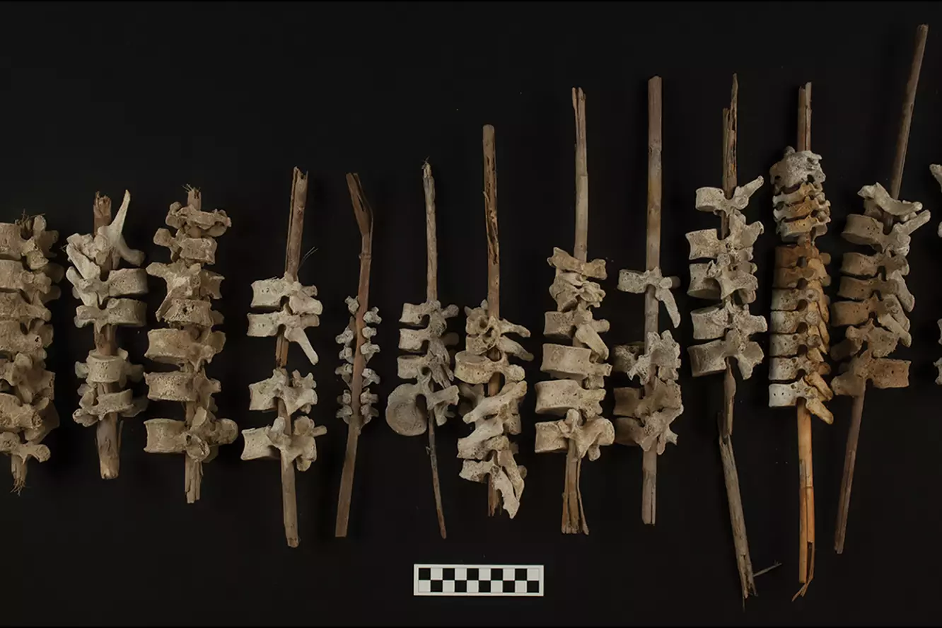 Kira-kira 200 vertebra manusia diikat pada buluh yang ditemui di Peru