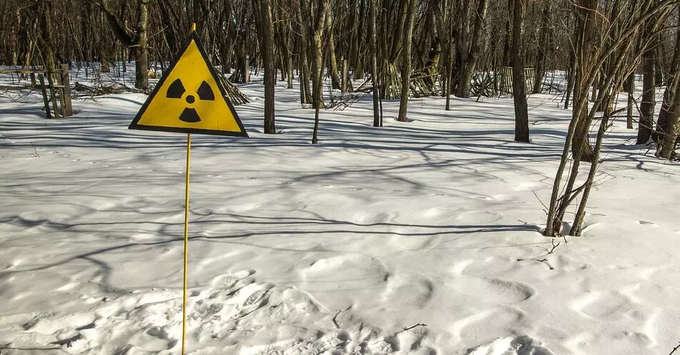 Naon anu lumangsung ka satwa sanggeus musibah Chernobyl?