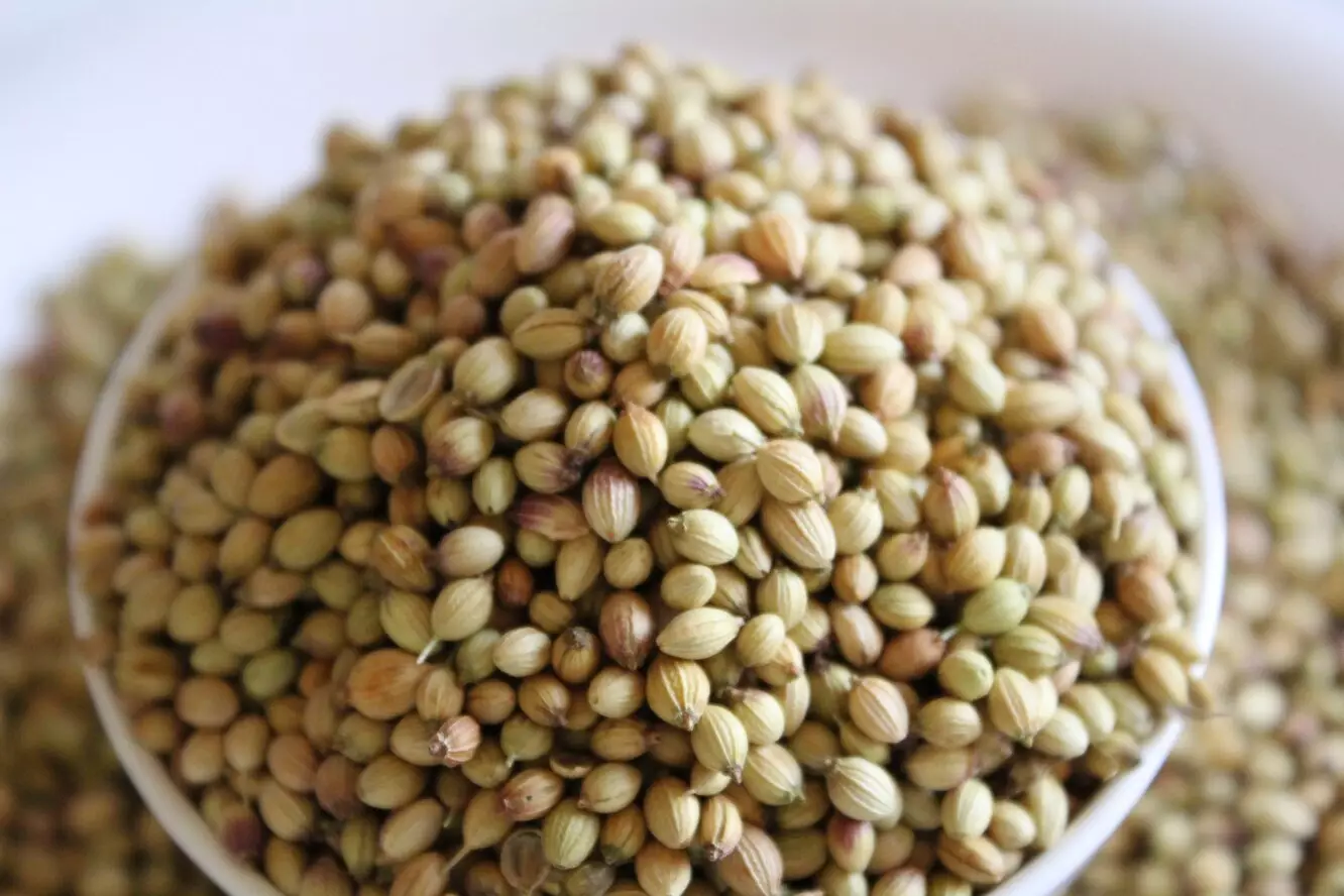 Cilantro seeds are called coriander.
