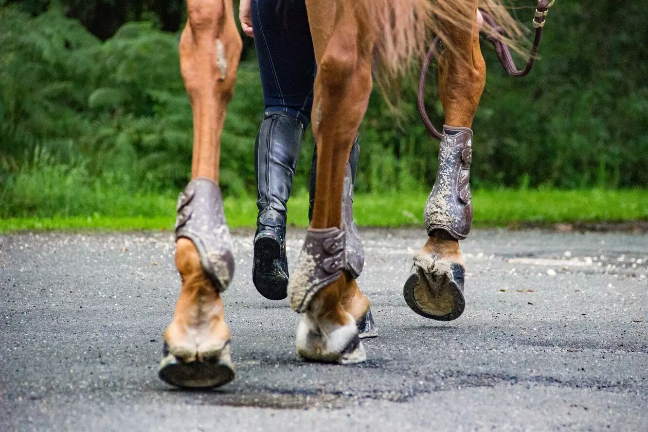 Malgré tout, il y a des chevaux qui se débrouillent généralement bien sans fers ou qui n'en ont besoin qu'occasionnellement.