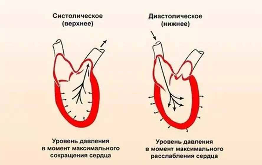Ciśnienie skurczowe i rozkurczowe